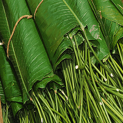 Moi Moi leaves (Elewe) – Wunmi Selective Kitchen